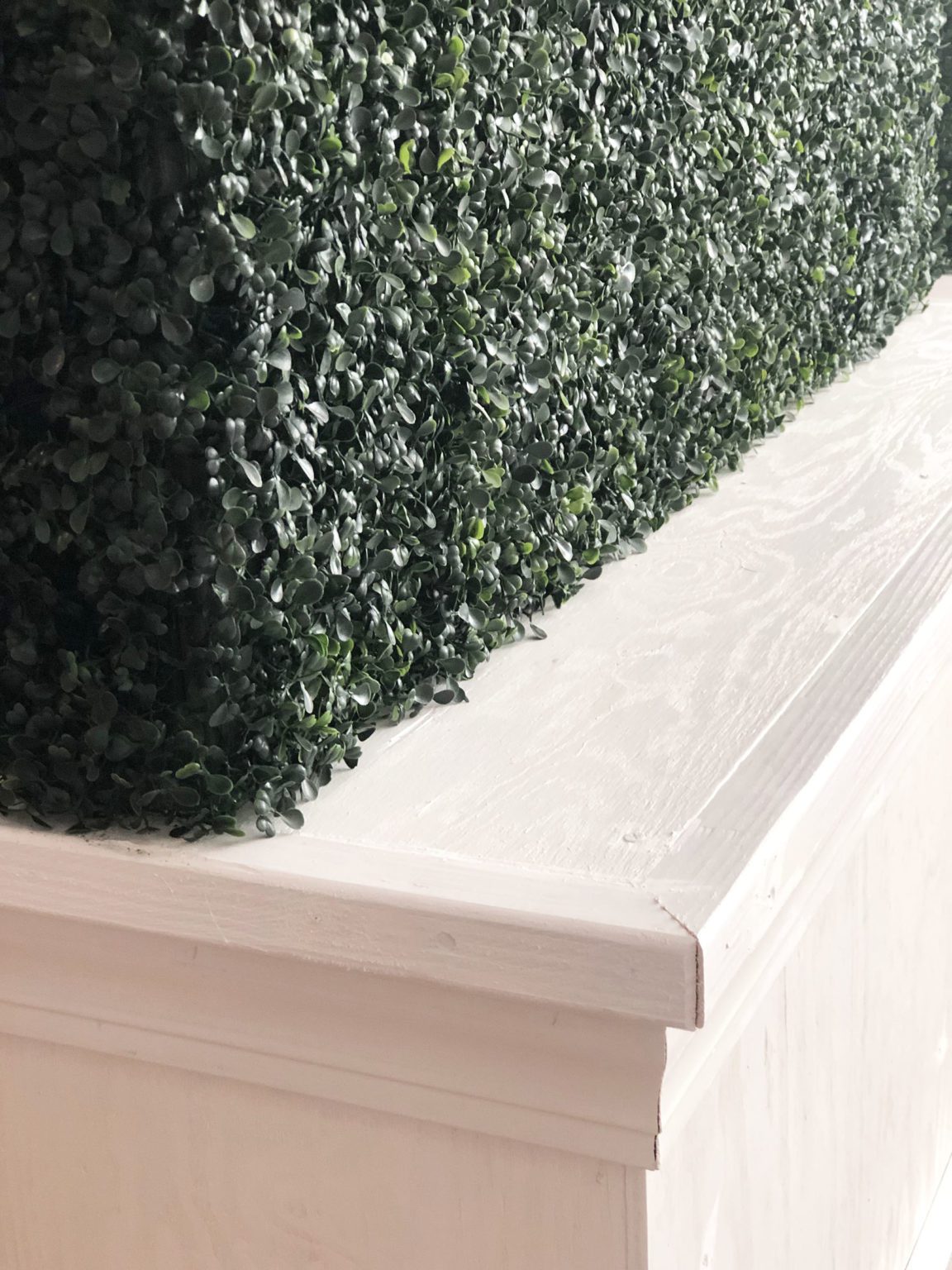 Hedge Boxwood Wall Backdrop | Something Borrowed KC