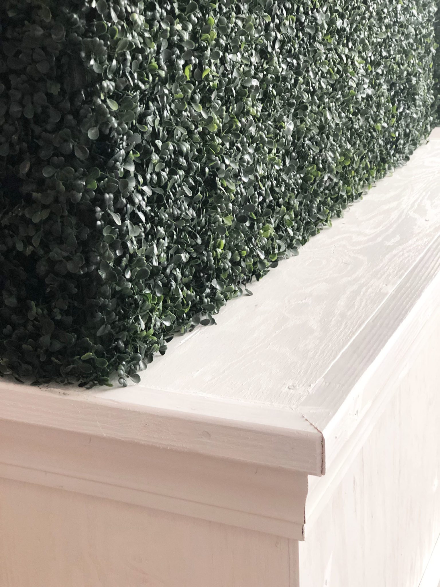 Hedge Boxwood Wall Backdrop – $70 | Something Borrowed KC