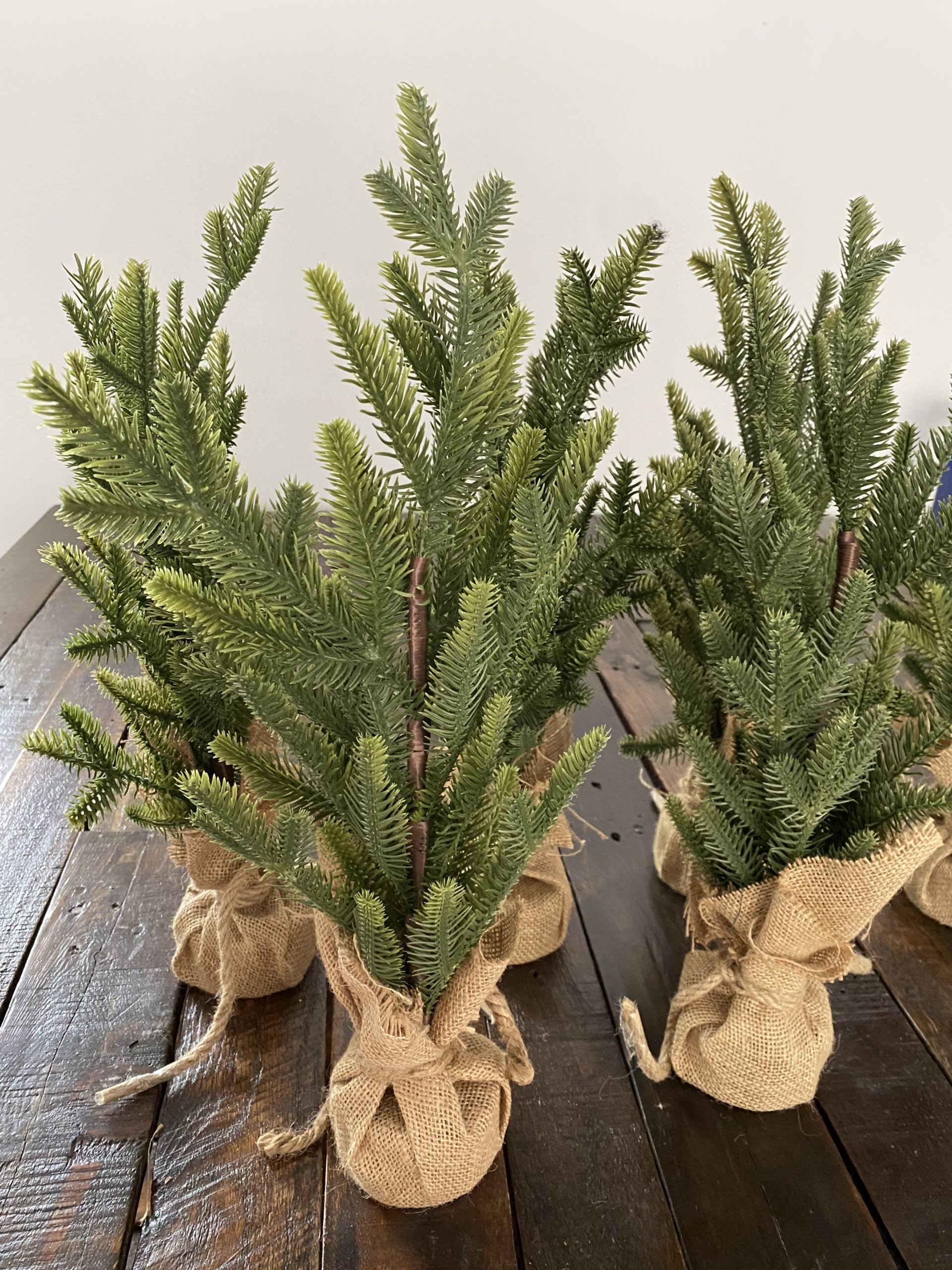 Table Top Fir Trees Set of 6-$8 | Something Borrowed KC